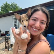 BORDER TAILS RESCUE - Updated October 2025 - 35 Photos & 44 Reviews ...