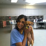 ANGEL VETERINARY SERVICES - Updated December 2025 - 293 Photos & 431 ...