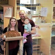 CATS CASTLE CAT HOTEL - Updated January 2026 - 18 Reviews - 1354 Bronte ...