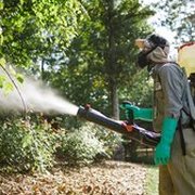 CLARK’S TERMITE & PEST CONTROL - Updated October 2025 - 13 Reviews ...