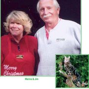 PATCHEN CALIFORNIA CHRISTMAS TREE FARMS - Updated December 2025 - 85 ...