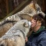 WOLF PARK - Updated December 2025 - 99 Photos & 32 Reviews - 4004 E ...