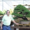 BRUSSEL’S BONSAI NURSERY - Updated July 2025 - 64 Photos & 43 Reviews ...