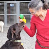 MARANDA RANCH KENNELS - Updated July 2025 - 34 Photos & 31 Reviews ...
