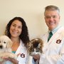 STEVENS ANIMAL HOSPITAL - Updated December 2025 - 35 Photos & 64 ...