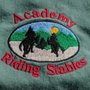 ACADEMY RIDING STABLES - Updated January 2026 - 552 Photos & 280 ...