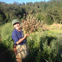 SWEET ROOTS FARM - Updated August 2025 - 83 Photos & 17 Reviews - 14805 ...