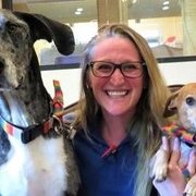CLUB PET RESORTS DIA - Updated April 2026 - 90 Photos & 154 Reviews ...