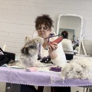 THE SPLOOTING RABBIT - Updated September 2025 - 75 Photos - Phoenix ...