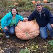 AMADIO RANCH FARM STORE - Updated December 2025 - 268 Photos & 178 ...