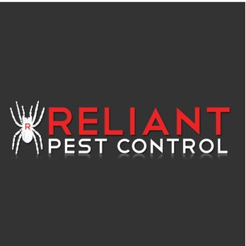 RELIANT PEST CONTROL - Updated December 2024 - 42 Photos & 119 Reviews ...