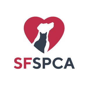 SAN FRANCISCO SPCA ADOPTION CENTER - Updated October 2025 - 456 Photos ...