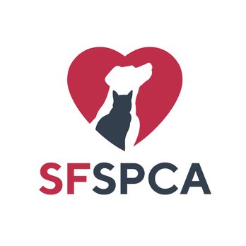 SAN FRANCISCO SPCA ADOPTION CENTER - Updated July 2025 - 456 Photos ...