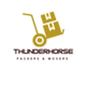 THUNDERHORSE MOVERS AND PACKERS - Updated September 2025 - 32 Photos - Moorpark, California ...