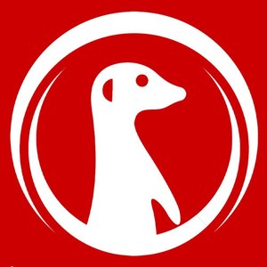 MEERKAT PEST CONTROL - 18 Photos & 44 Reviews - 16 Jupiter Ln, Albany ...
