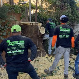 POWER TREE REMOVAL - Updated February 2025 - 124 Photos & 30 Reviews ...