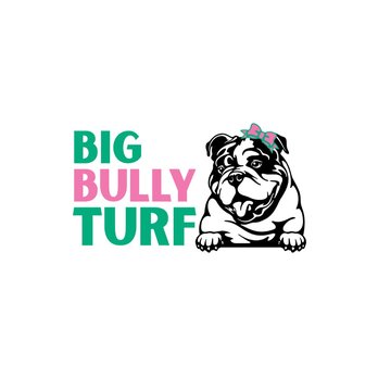 BIG BULLY TURF - Updated December 2025 - 64 Photos & 30 Reviews - 6565 ...