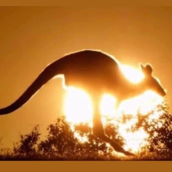 EMBERWOOD FARM - Updated September 2024 - 36 Photos - 2619 Ash Little ...