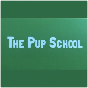 THE PUP SCHOOL - Updated April 2026 - 34 Photos & 25 Reviews - Mountain ...