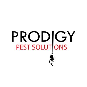 PRODIGY PEST SOLUTIONS - Updated October 2025 - 19 Photos & 43 Reviews ...