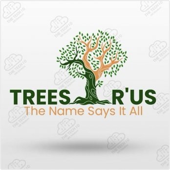 TREES R’ US - Updated October 2025 - 26 Photos - Albuquerque, New ...