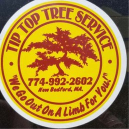 TIP TOP TREE SERVICE - Updated December 2025 - 101 Photos - New Bedford ...