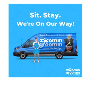 ZOOMIN GROOMIN - ORLANDO, FL - Updated December 2025 - 15 Photos ...