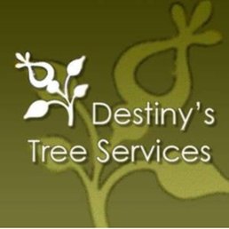 DESTINY’S TREE SERVICE - Updated December 2025 - 10 Photos & 26 Reviews ...