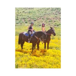 SUSIE Q RANCH - Updated December 2025 - 243 Photos & 202 Reviews ...