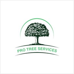 PRO TREE SERVICES - Updated January 2025 - 35 Photos - 200 6th St ...