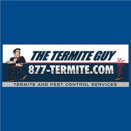 THE TERMITE GUY - Updated September 2025 - 80 Photos & 507 Reviews ...