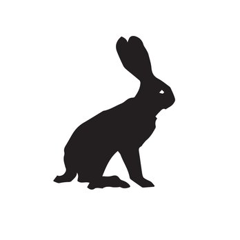 PINEWOOD SOCIAL - Updated August 2025 - 2644 Photos & 2392 Reviews - 33 ...