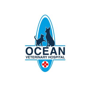 OCEAN VETERINARY HOSPITAL - Updated July 2025 - 43 Photos & 38 Reviews ...