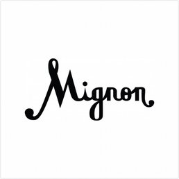 MIGNON - Updated December 2025 - 456 Photos & 498 Reviews - 128 E 6th ...