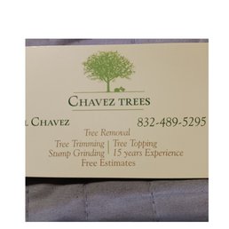 CHAVEZ TREES - Updated July 2025 - 147 Photos & 37 Reviews - 1076 Cora ...
