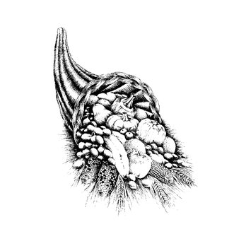 FORRY’S COUNTRY STORE - Updated June 2024 - 13 Photos & 18 Reviews ...