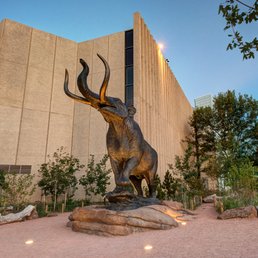 DENVER MUSEUM OF NATURE AND SCIENCE - 2326 Photos & 668 Reviews - 2001 ...
