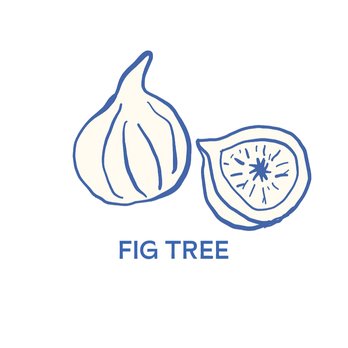 FIG TREE VENICE - Updated January 2025 - 1111 Photos & 682 Reviews ...