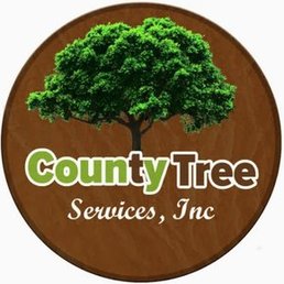 COUNTY TREE SERVICE - Updated October 2025 - 230 Photos & 394 Reviews ...