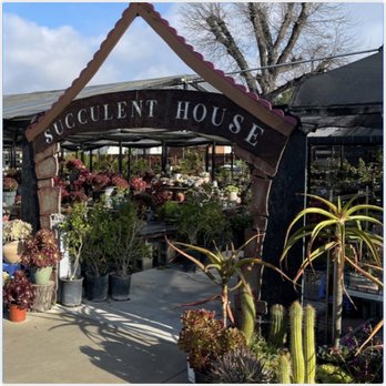 SHUNA’S SUCCULENT HOUSE - Updated December 2025 - 169 Photos & 47 ...