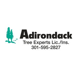 ADIRONDACK TREE EXPERTS - Updated October 2025 - 36 Photos & 86 Reviews ...
