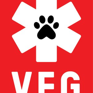 VETERINARY EMERGENCY GROUP - Updated May 2025 - 40 Photos & 48 Reviews ...
