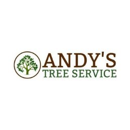 ANDY’S TREE SERVICE - Updated July 2024 - 14 Photos & 41 Reviews - 311 ...