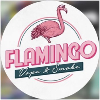 FLAMINGO VAPE & SMOKE - Updated December 2025 - 12 Photos - 10501 SW 88th St, Miami, Florida ...