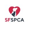 SF SPCA COMMUNITY VETERINARY CLINIC - Updated October 2025 - 11 Photos ...