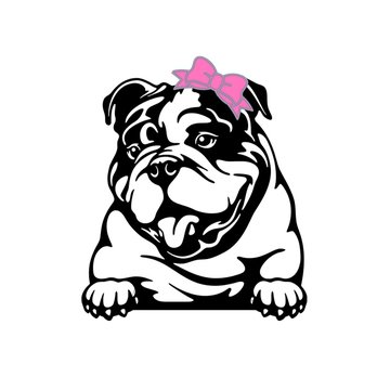 BIG BULLY TURF - Updated November 2024 - 367 Photos & 105 Reviews - 350 ...