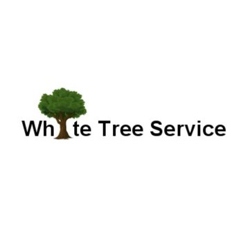 WHITE TREE SERVICE - Updated October 2025 - 40 Photos - Indianapolis ...