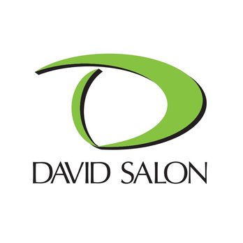 THE DAVID SALON - Updated June 2024 - 136 Photos & 307 Reviews - 355 ...