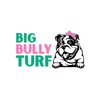 BIG BULLY TURF - Updated November 2025 - 541 Photos & 178 Reviews - 921 ...