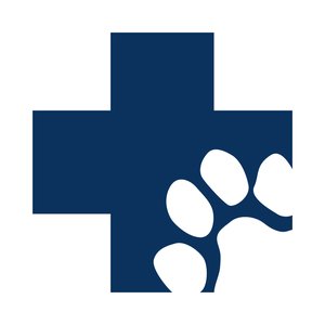 MEDVET VANCOUVER - Updated January 2026 - 31 Photos & 32 Reviews - 2913 ...